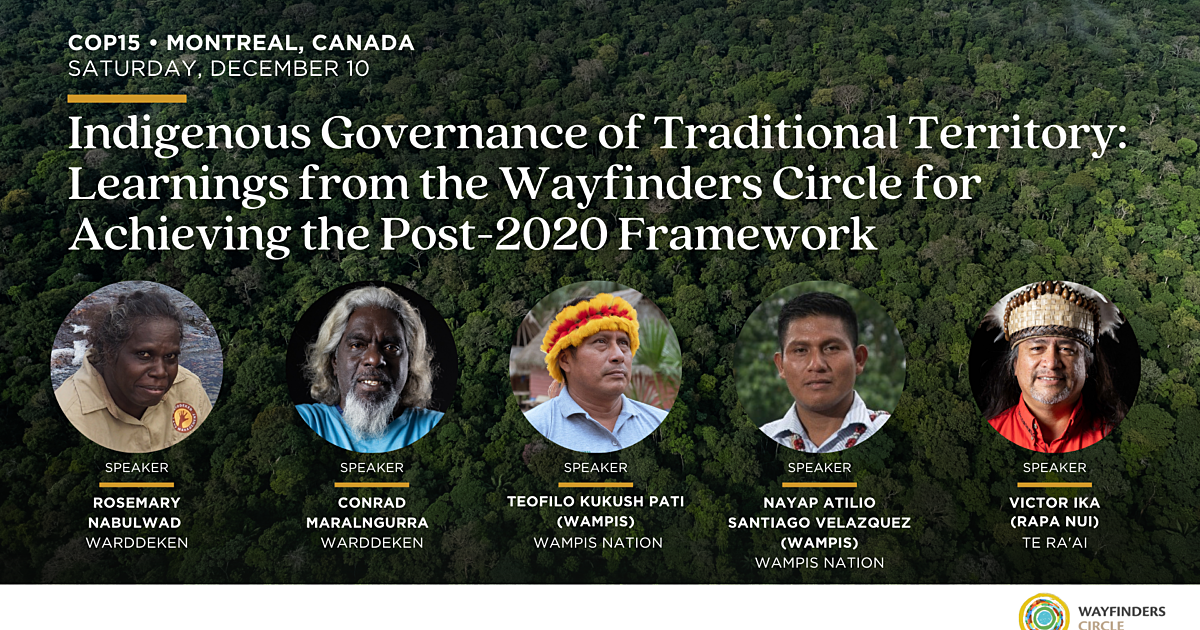 Indigenous Governance of Traditional Territory: Learnings from the ...