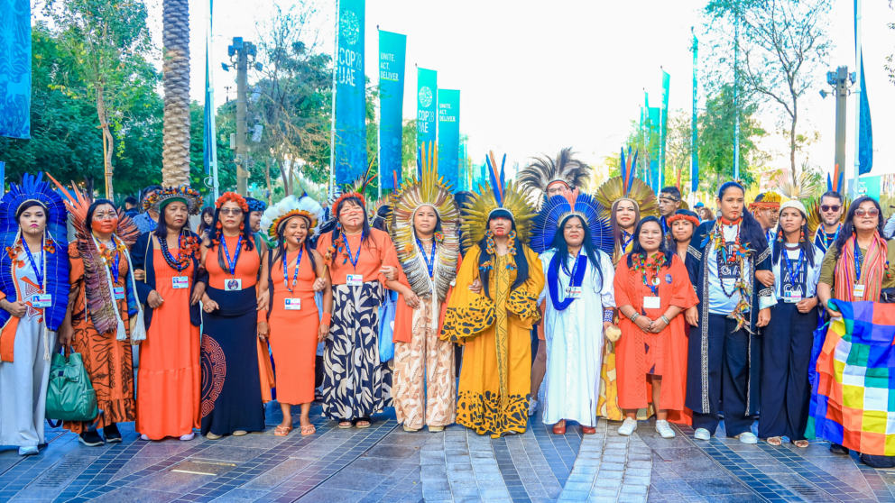 Home [www.niatero.org]